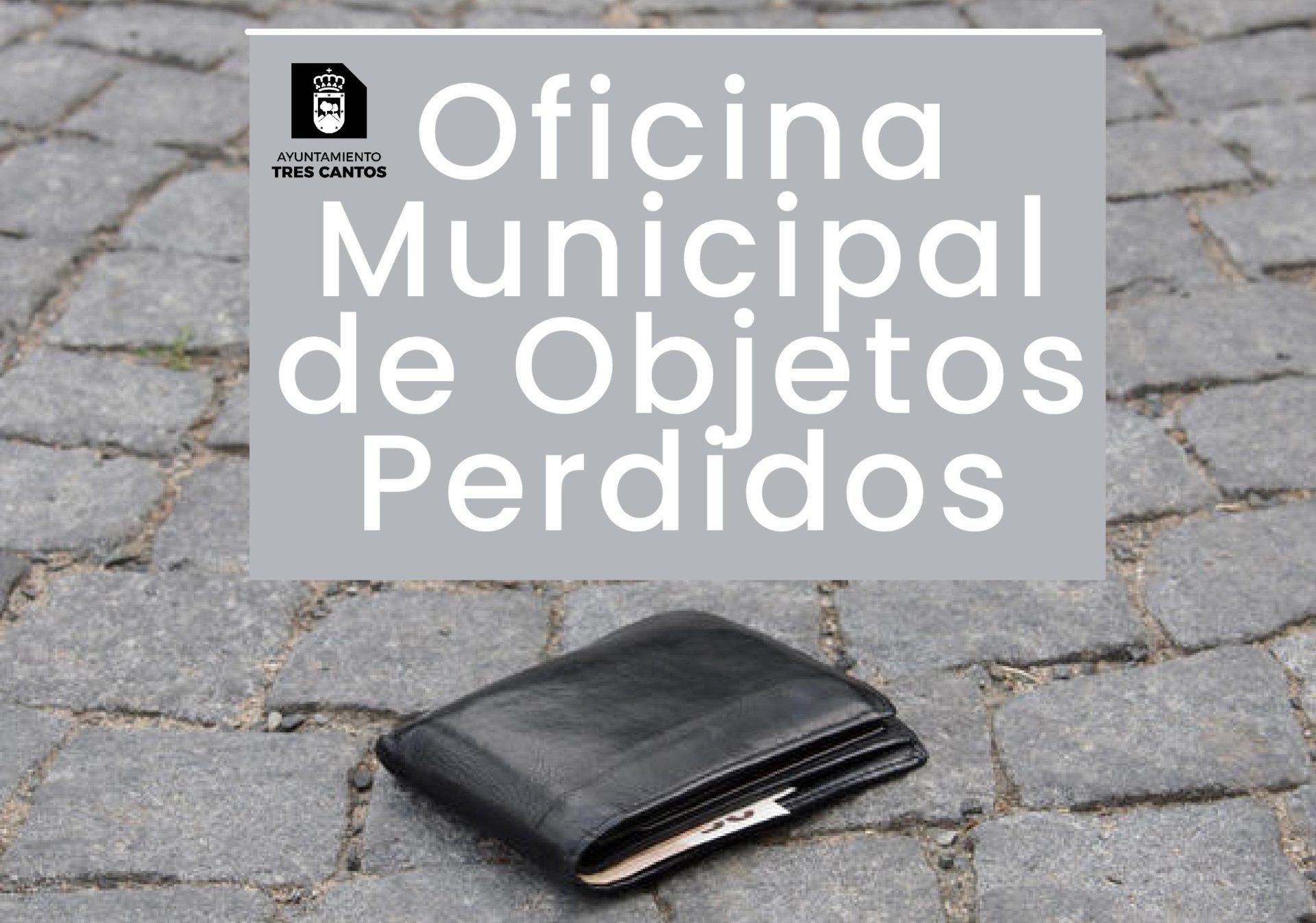 El Ayuntamiento pone en marcha una Oficina Municipal de Objetos ...